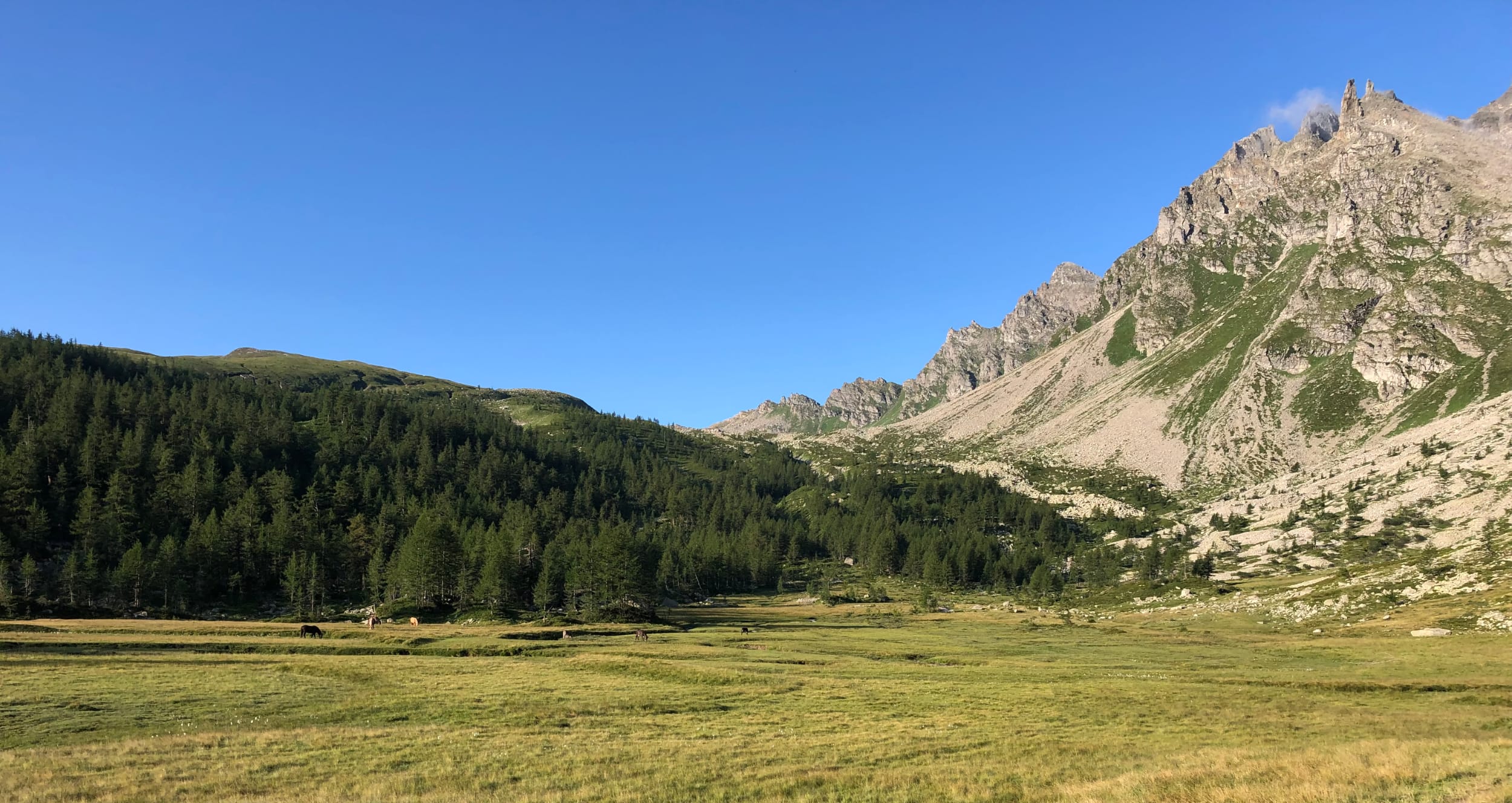 Hiking e trekking speciali in Ossola e lago maggiore